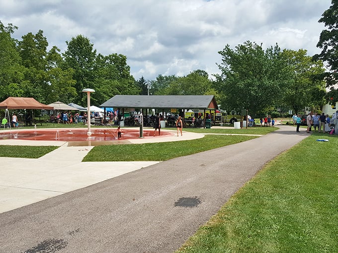 Summer in Medina means splash pads, picnics, and community gatherings where everyone pretends they're not sweating through their shirts in the Ohio humidity.