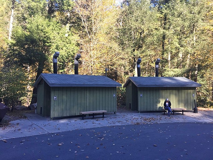 Even nature calls get the rustic treatment with these perfectly positioned woodland facilities.