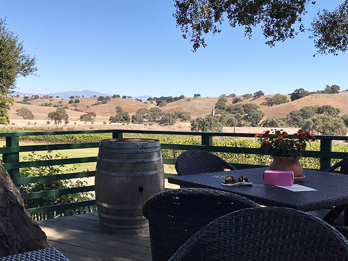Wine with a view that rivals anything in Europe. The Santa Ynez Valley unfolds like a patchwork quilt of vineyards and golden hills.