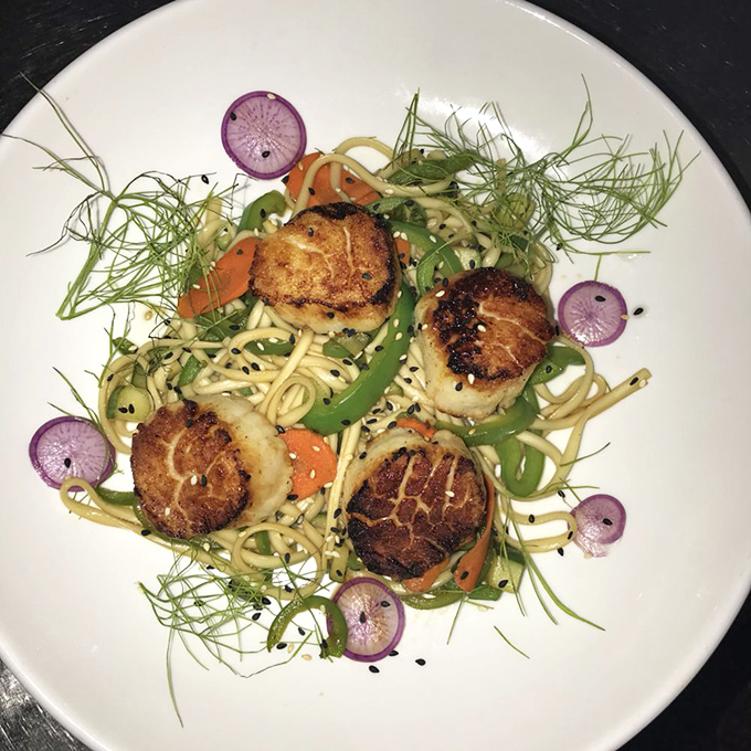 Scallops seared to perfection, nestled like golden medallions on a bed of culinary dreams.