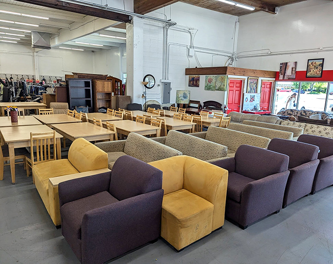 Furniture arranged with showroom precision makes decision-making dangerously easy. "Just browsing" becomes "delivery address, please?"