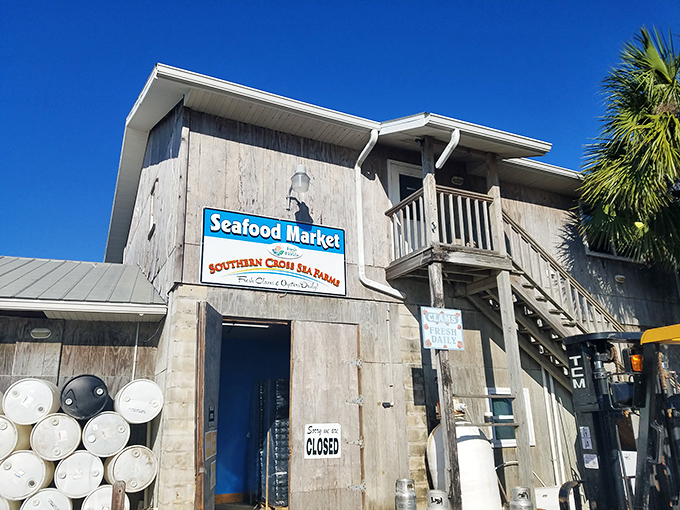 Southern Cross Sea Farms embodies Cedar Key's working waterfront&mdash;where weathered wood and salt air mean you're about to enjoy seafood that never knew the inside of a freezer.