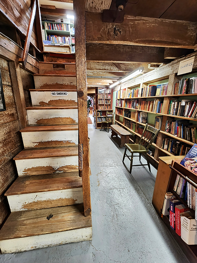 These worn wooden steps have carried countless book lovers to new discoveries. Each creak tells a story of literary pilgrimage.