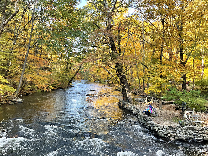 Fall transforms Stephens State Park into a kaleidoscope of amber and gold reflections dancing on the water. Even the fish must think they've hit the scenic jackpot.