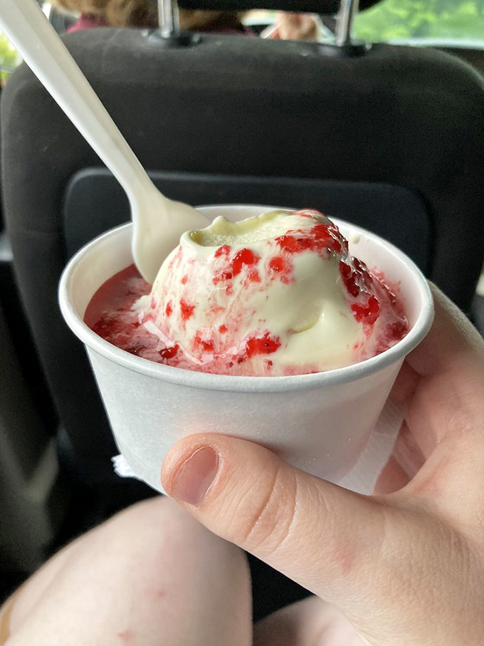 Strawberry swirls dancing through vanilla custard like a berry ballet. This isn't just a sundae&mdash;it's summer in a cup.
