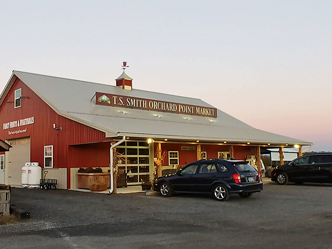 T.S. Smith's market barn glows at dusk, a red beacon calling to those seeking produce with actual flavor rather than supermarket impostors.