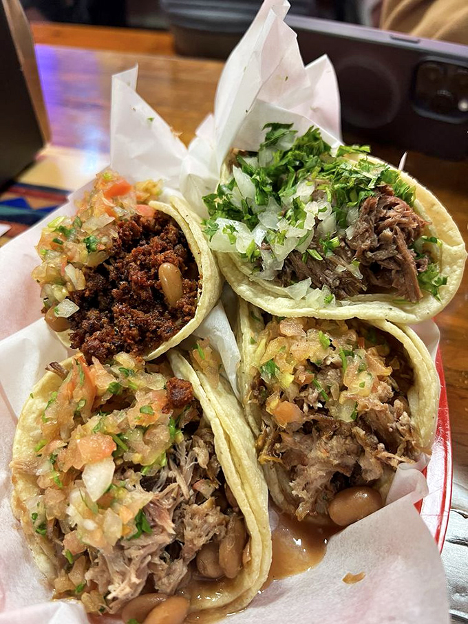 Tacos presented with nothing to hide. Fresh cilantro and onions crown perfectly prepared meats, each one a three-bite masterpiece of balanced flavors.