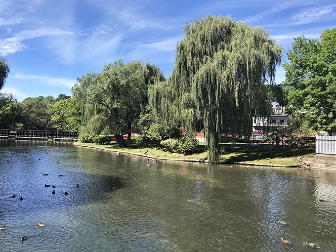 Talleyrand Park's weeping willows create nature's perfect canopy for an afternoon nap or picnic that costs exactly zero dollars and zero cents.