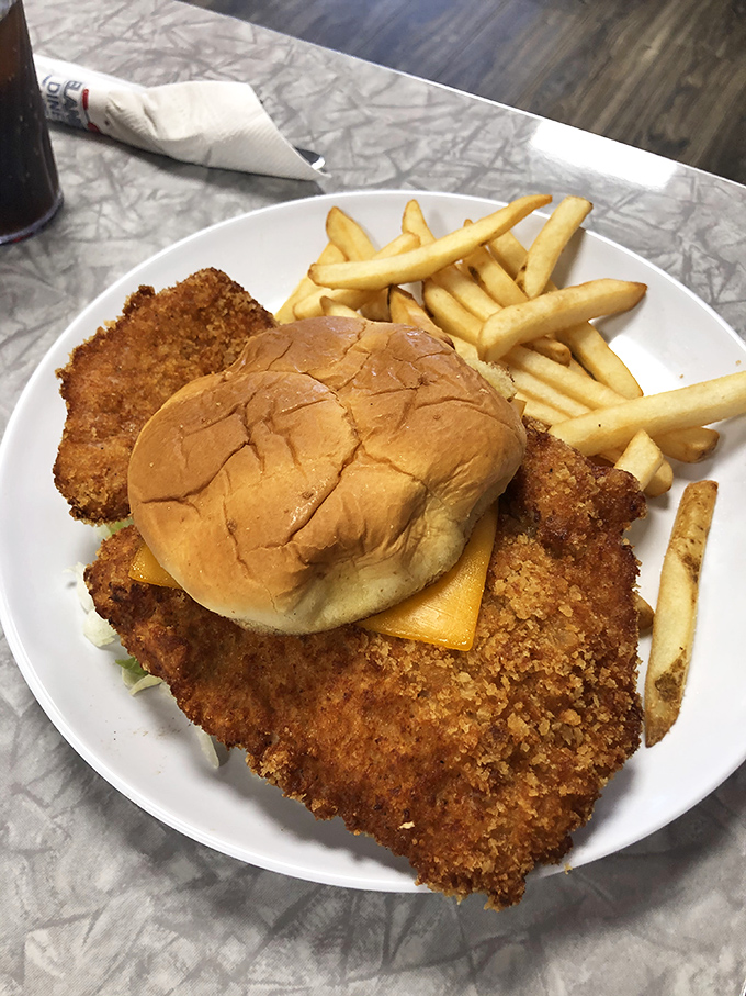 The breaded tenderloin sandwich &ndash; where the meat extends far beyond the bun's jurisdiction in that gloriously Midwestern way we've come to cherish.
