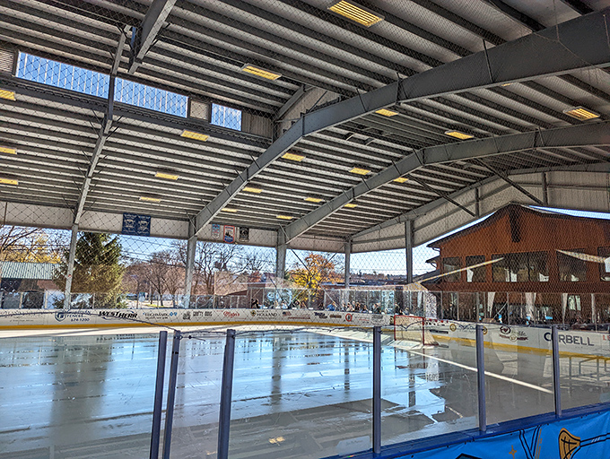 The Healthy Zone Rink proves that falling on ice can be fun when it's intentional – a winter wonderland where grace is optional but laughter is guaranteed.