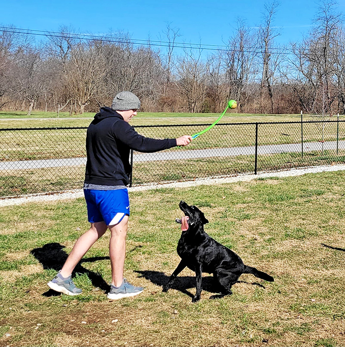 Man's best friend gets a taste of freedom at Tillie Dog Park, where tennis balls fly and tails wag in perfect harmony.