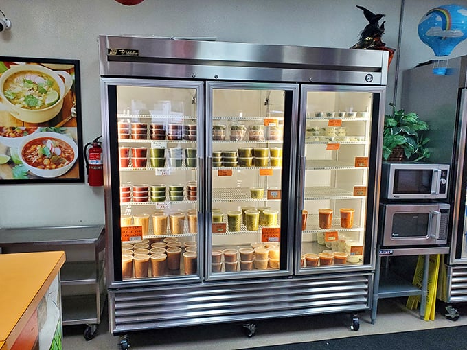 The refrigerator of happiness. Like a museum of ready-to-eat masterpieces, each container holds the promise of a perfect meal at home.