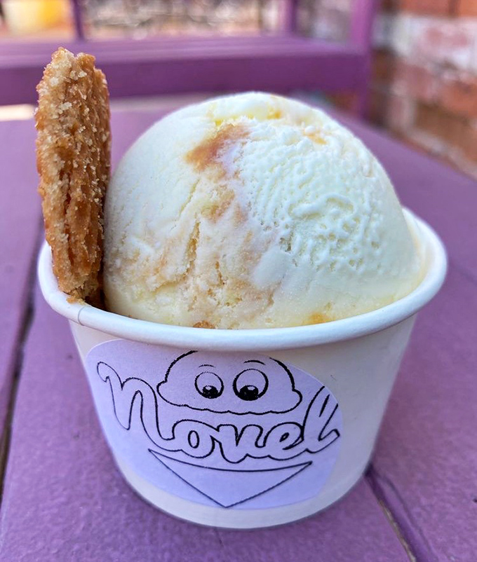 Simplicity at its sweetest. A perfect scoop with a cookie sentinel standing guard&mdash;proof that sometimes the classics need no improvement.