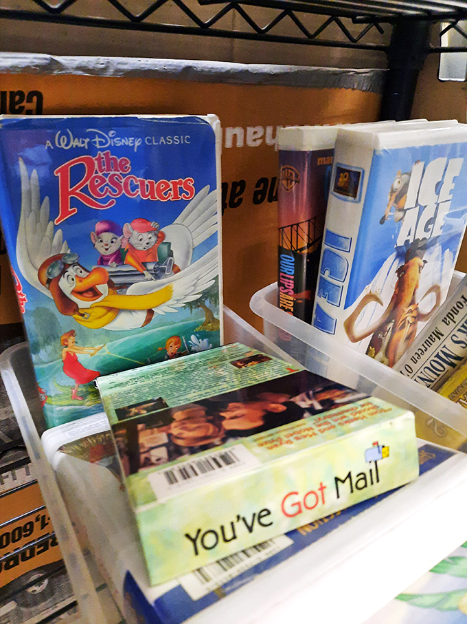 Movie night flashback! Disney classics on VHS sit beside rom-coms, proving that entertainment never truly expires, just changes format.