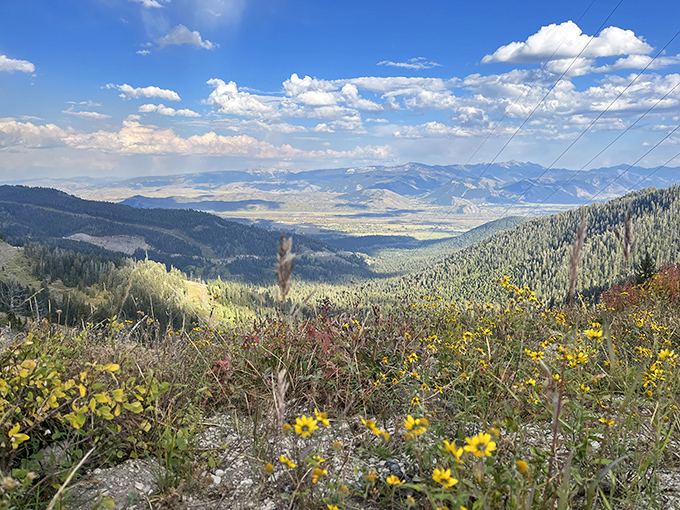 Valley views that make you question every life choice that didn't involve moving to Idaho sooner &ndash; wildflowers, mountains, and endless sky.