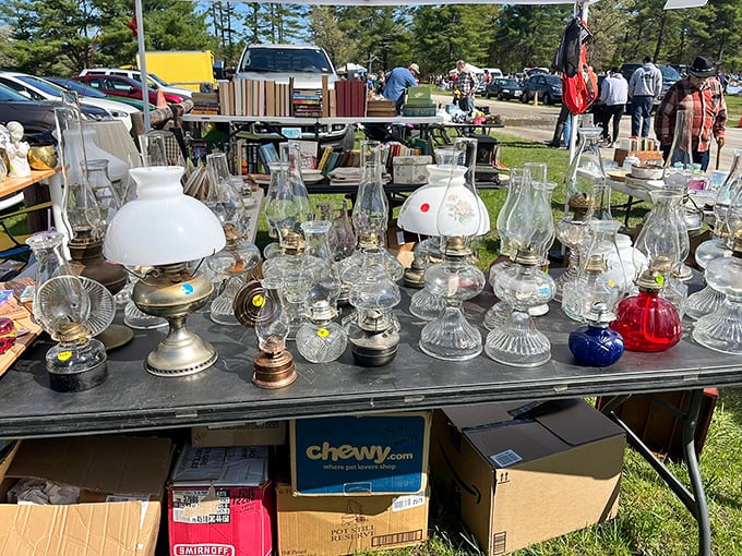 A glowing collection of history—each vintage lamp and oil lantern holds stories of evenings before Netflix and smartphones existed.