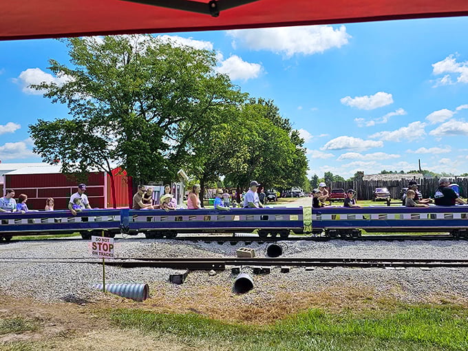 All aboard the nostalgia express! This miniature train ride delivers maximum joy, proving some of life's greatest pleasures still run on simple tracks.