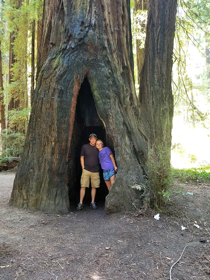 When the redwoods are your backdrop, even casual tourist photos look like movie stills.