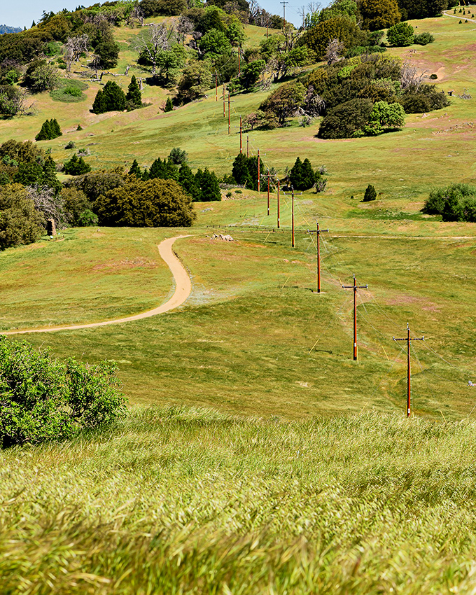 The rolling hills of Volcan Mountain County Preserve offer hiking trails with views that stretch from mountain to desert &ndash; California's diversity on display.