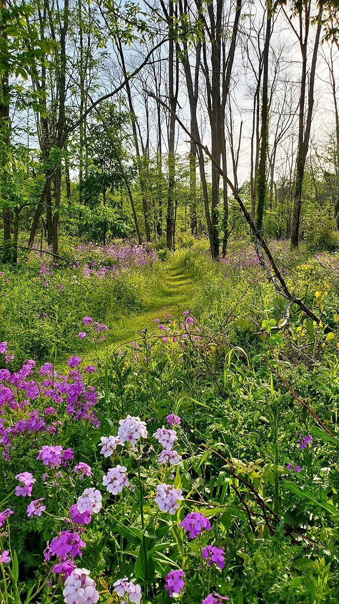 Nature's wildflower garden puts any human landscaping to shame. These purple blooms didn't need Pinterest for inspiration&mdash;they're the original trendsetters.