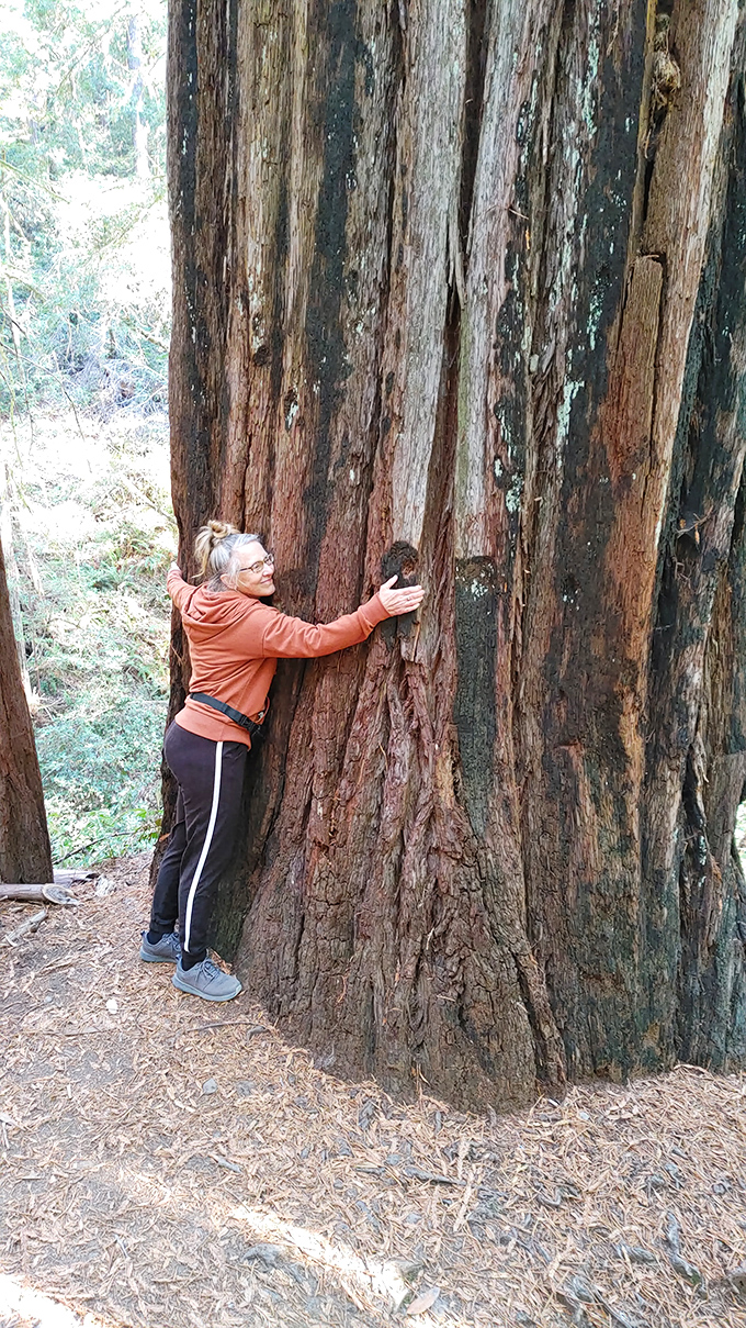 When trees grow this magnificent, hugging them becomes less hippie and more common sense appreciation.