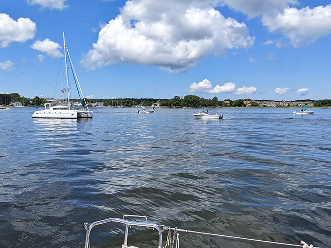 The Miles River offers a playground for vessels of all sizes, where million-dollar yachts and humble fishing boats share the same stunning blue highway.