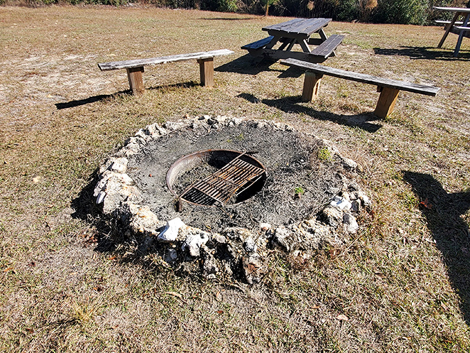 Campfire tales just hit different when you're 300 feet above sea level in Florida. S'mores with a side of geographical confusion.