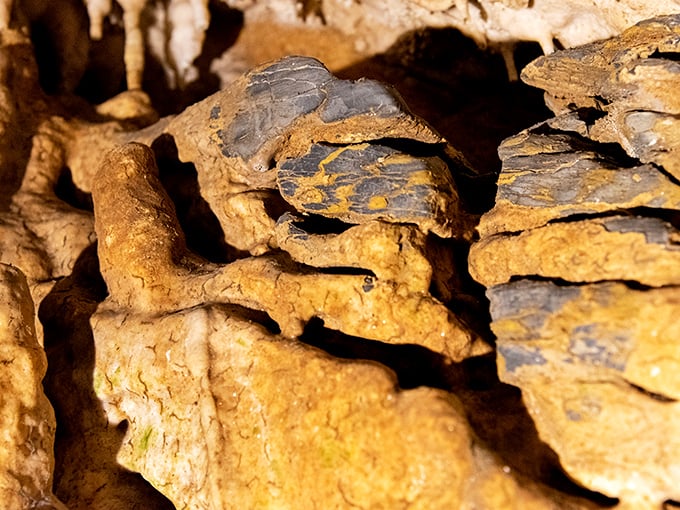 These intricate boxwork formations look like Mother Nature's attempt at creating the world's most elaborate honeycomb ceiling.