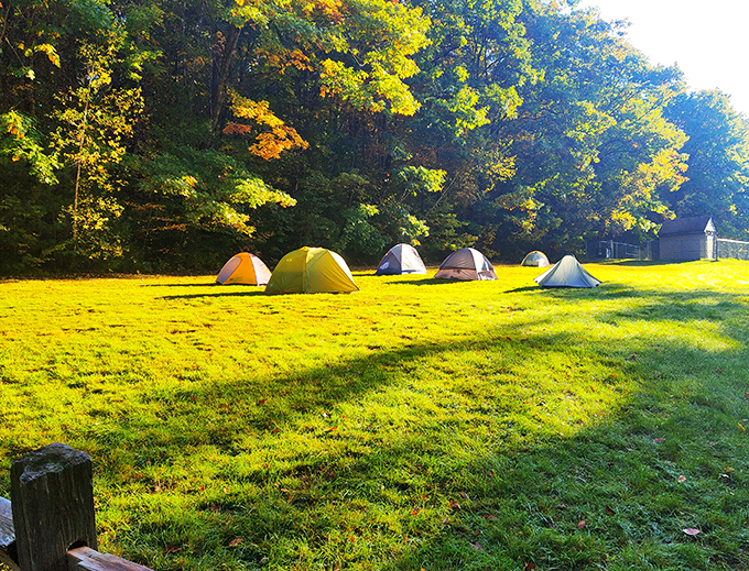 Camping under Berkshire autumn foliage offers five-star views at two-star prices, where nature provides the entertainment and cell service takes a welcome break.