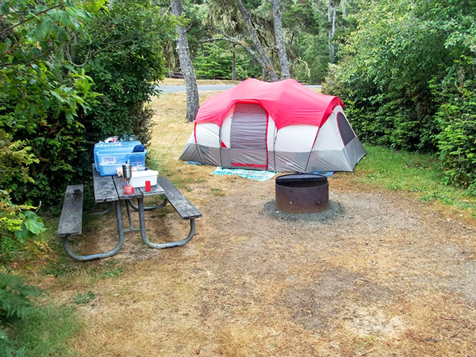 Camping in Bandon's lush surroundings offers the rare opportunity to wake up to birdsong instead of your neighbor's lawnmower.