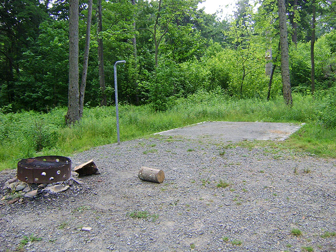 Campsite perfection: fire pit, picnic table with classic red-checkered tablecloth, and enough trees to make you forget what traffic sounds like.