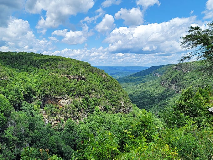 Layer upon layer of ancient geology tells Earth's story better than any textbook. This view has been millions of years in the making &ndash; talk about patience!