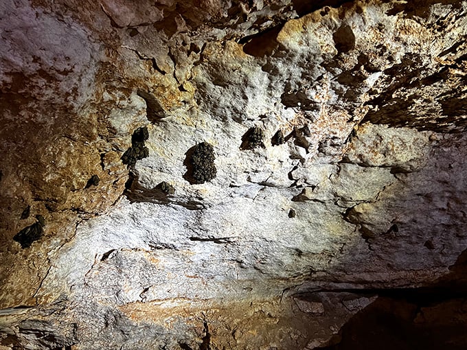 Alabaster canvas painted by time and water. The subtle color variations in the cave walls tell geological stories spanning millions of years&mdash;nature's own history book.