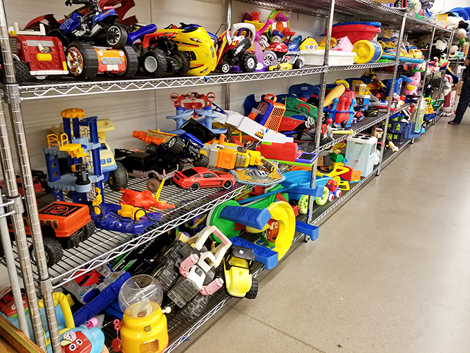 Toy paradise! A kaleidoscope of plastic joy where childhood dreams get recycled into new adventures without bankrupting parents.