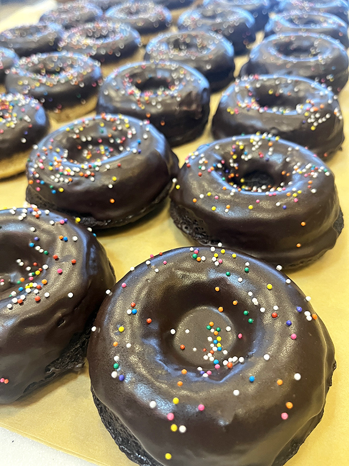 Chocolate donuts wearing sprinkles like tiny confetti, celebrating the fact that they're about to make your morning infinitely better.