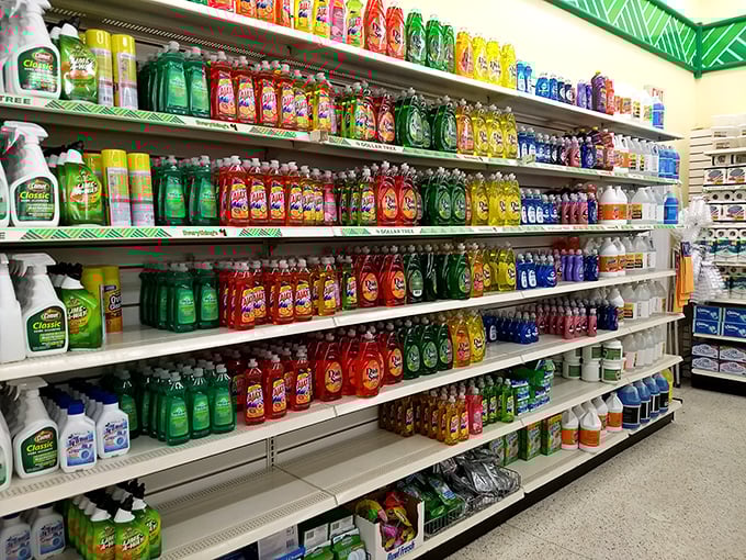 A rainbow of cleaning solutions that promises to make your home sparkle without cleaning out your bank account.