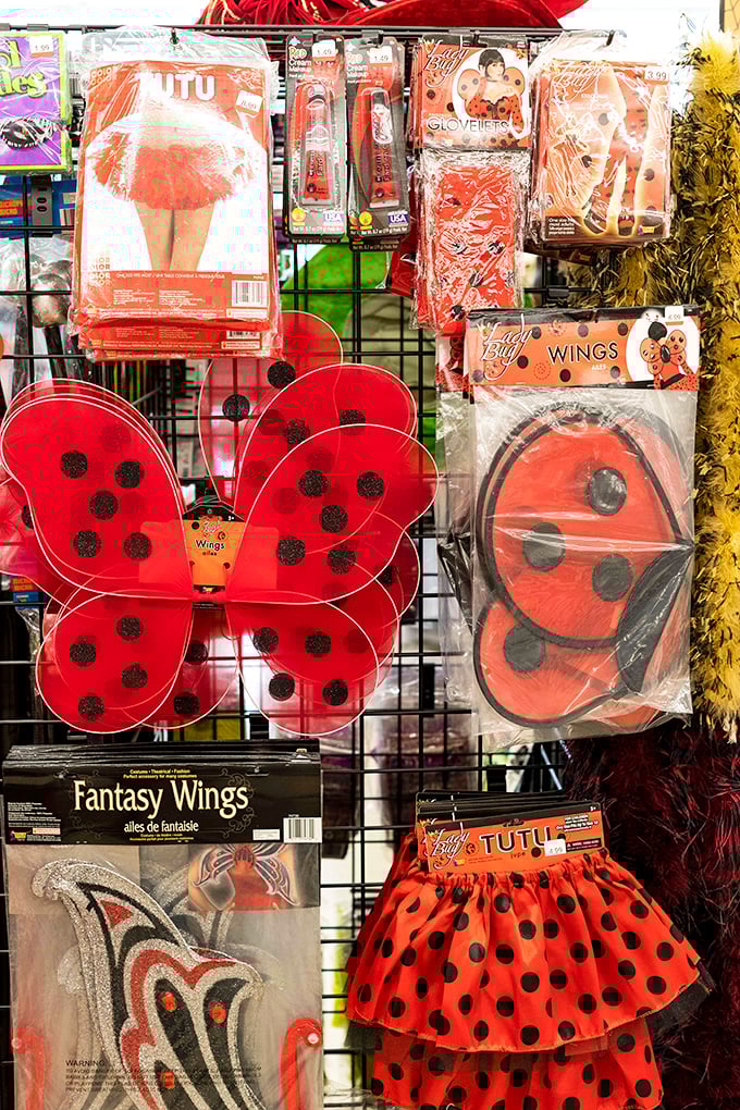 Halloween shopping that won't haunt your credit card &ndash; from ladybug wings to fantasy costumes, transformation comes at bargain prices.