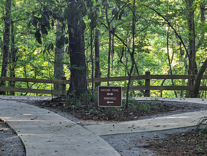 This way to the sinkhole &ndash; four words that would send you running in most contexts, but here they're an invitation to adventure.
