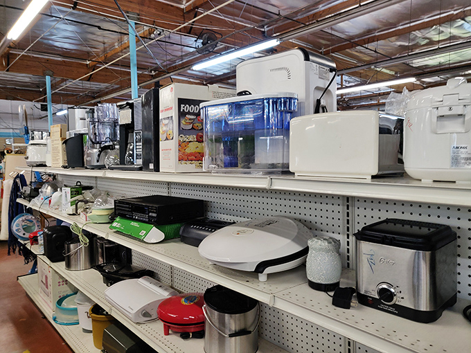 Kitchen appliances and gadgets create a culinary time capsule where someone's abandoned cooking dreams become your opportunity.