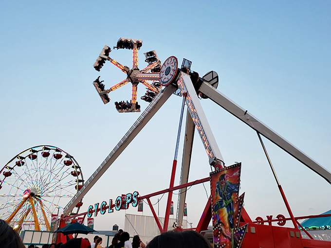 Midway rides at the fair transform the Harrington skyline once a year, creating a temporary amusement park that beckons the thrill-seeker in all of us.