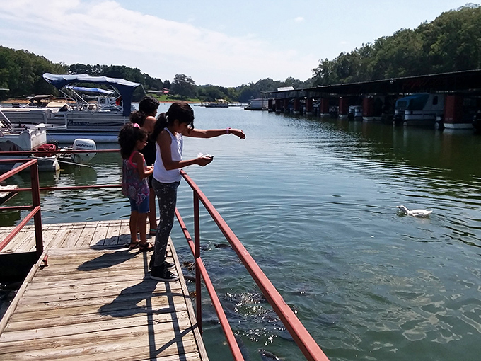 Simple joys never go out of style&mdash;feeding fish from the dock creates childhood memories that outlast any video game or theme park adventure.