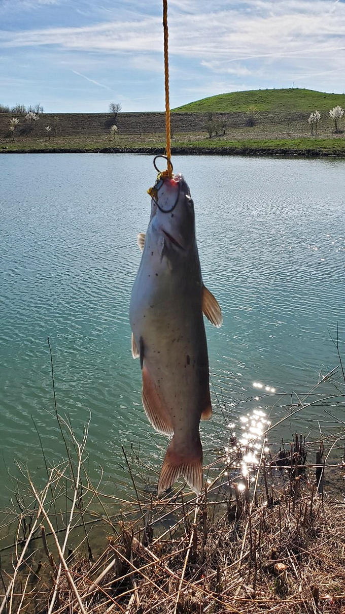 The catch of the day&mdash;and possibly the week! Stonelick's waters reward patient anglers with impressive specimens that make for great photos and even better stories.