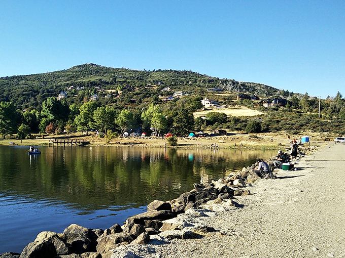 Lake Cuyamaca offers fishing so peaceful you'll forget your phone exists for hours.