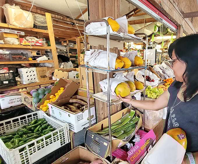 Farm-fresh goodness! Cucumbers, melons, and citrus fruits bring vibrant colors and flavors to this produce stand where locally grown meets globally inspired.