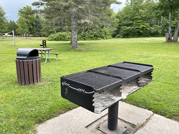 The humble park grill&mdash;where ordinary hot dogs transform into "artisanal outdoor cuisine" with a side of fresh air.