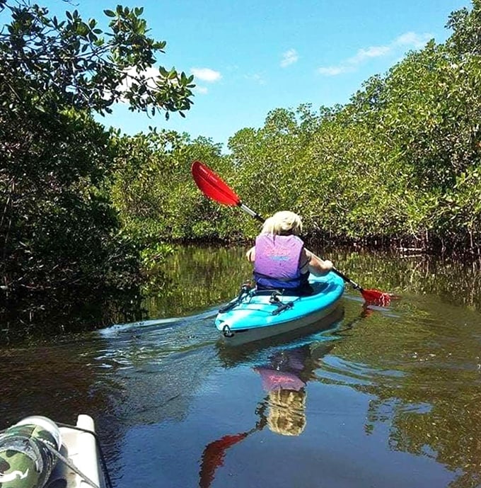 Kayaking through mangrove tunnels feels like discovering a secret world. Nature's version of an exclusive backstage pass.