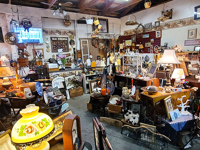 Vintage treasures create organized chaos - a collector's paradise where one person's clutter becomes another's coveted prize.