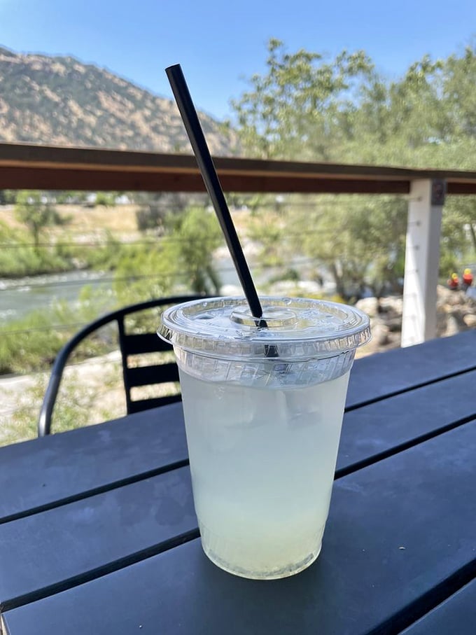 Crystal clear lemonade with a view that beats any fancy restaurant's "water feature." Nature and citrus—California's perfect pairing.