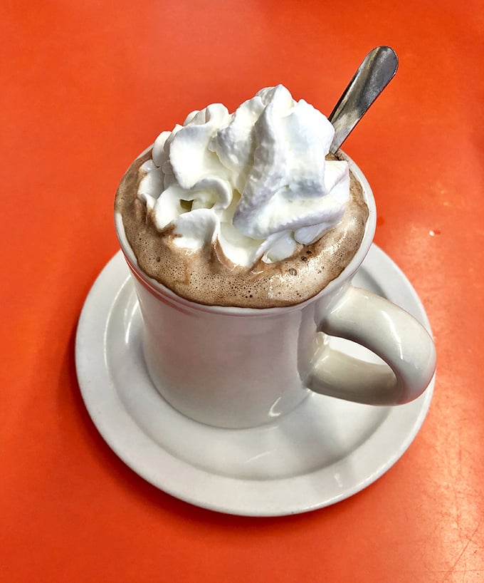 Hot chocolate that doesn't just warm your hands but restores your faith in humanity, one whipped cream mountain at a time.