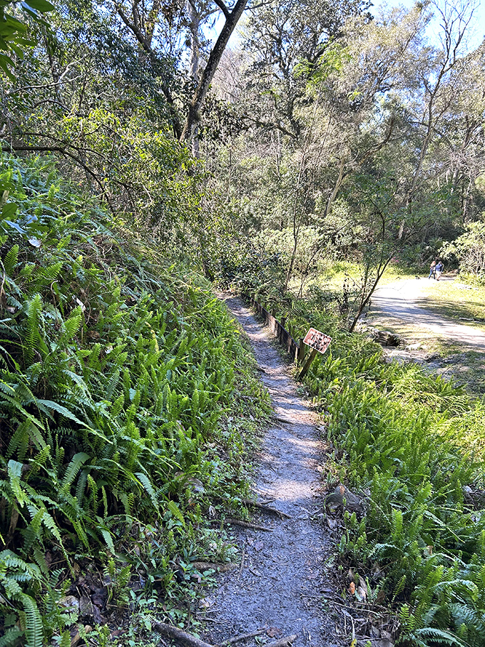 Nature's version of a hallway&mdash;narrow, verdant, and significantly more impressive than anything in your average split-level ranch home.